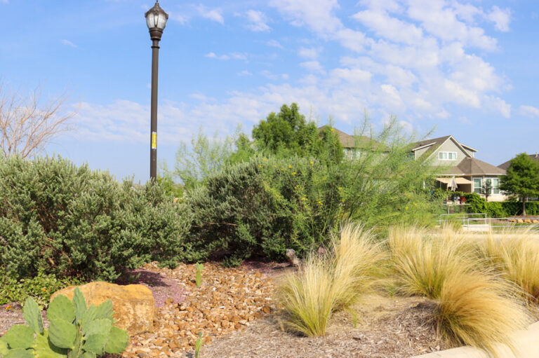 Neighborhoods - Maldonado Nursery and Landscaping Site